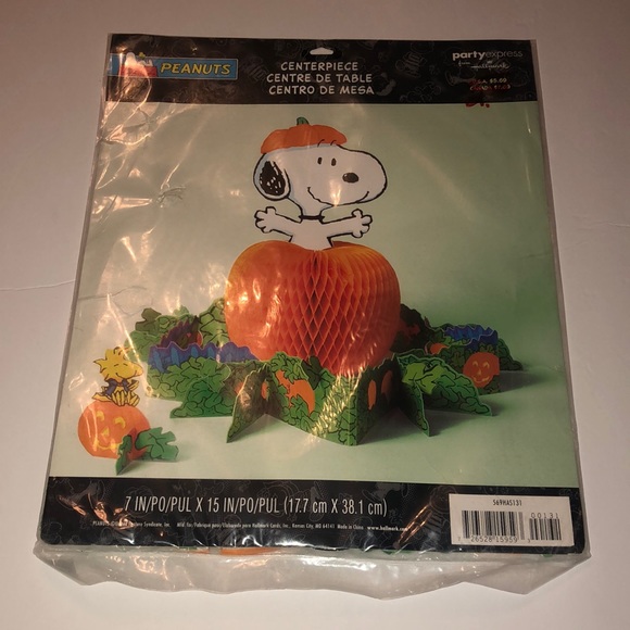 Hallmark | Holiday | Htf Peanuts Its The Great Pumpkin Charlie Brown ...